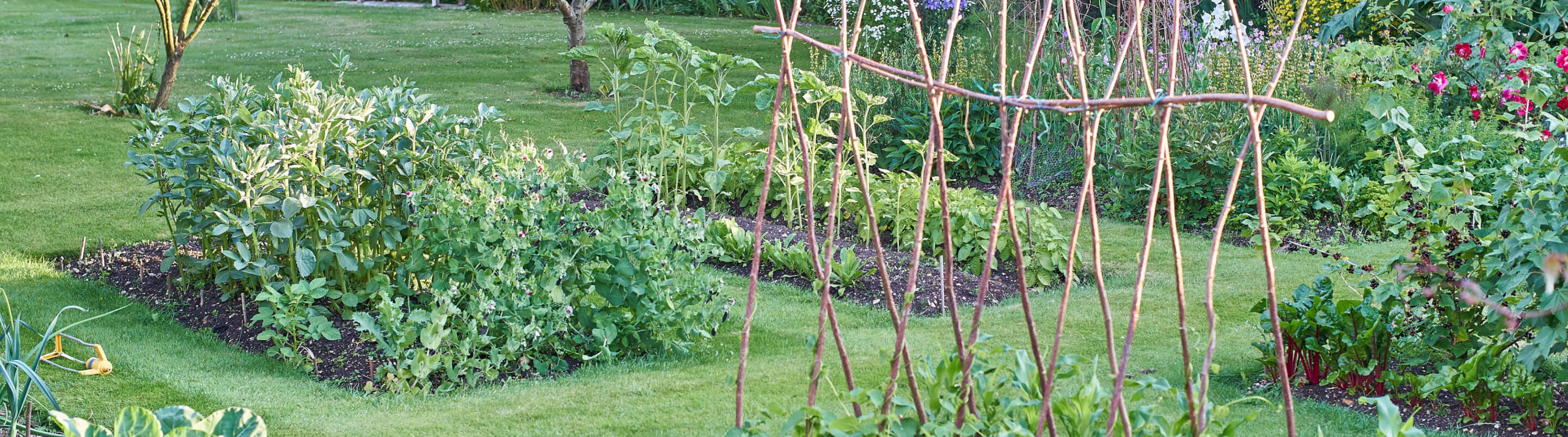 Neta’s Top 10 handy hints and tips for irrigation installation | NETA