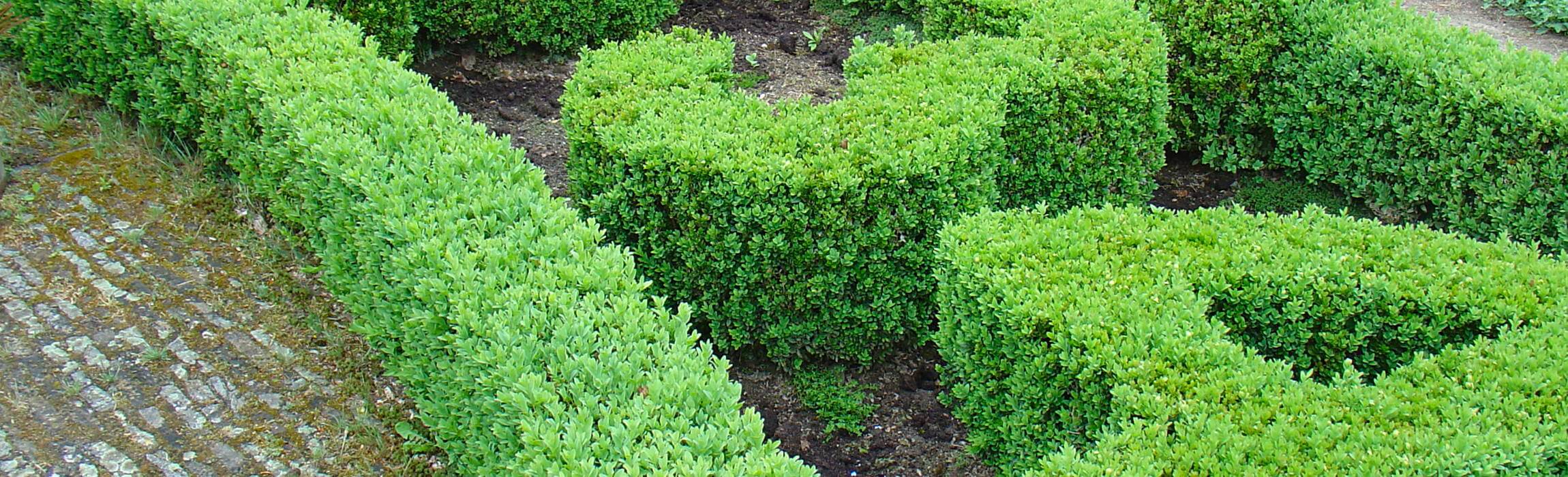 Easy Irrigation with Neta – Installation Tips | NETA